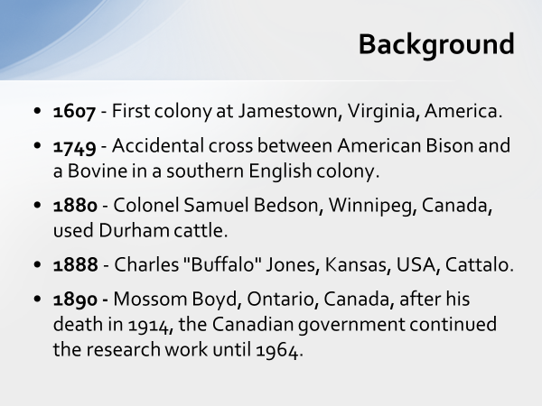 Beefalo History | North America Beef, Beef Export in Washington